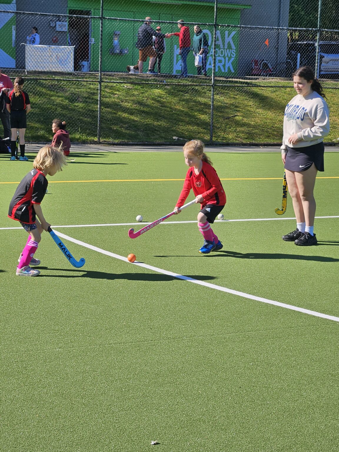 JUNIOR PROGRAMS - Vancouver Hawks